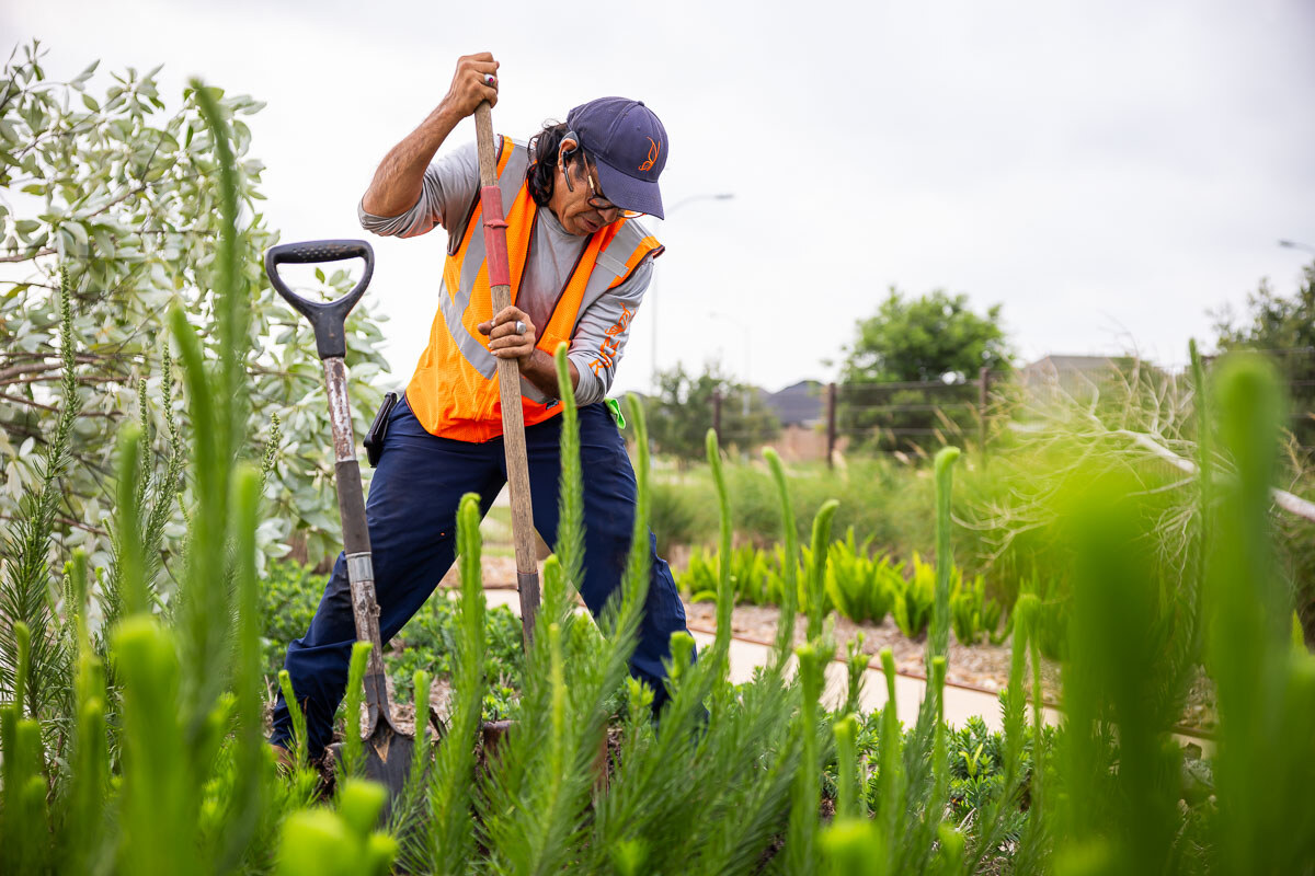 5 Cost-Saving Landscaping Tips for HOA Managers in Houston