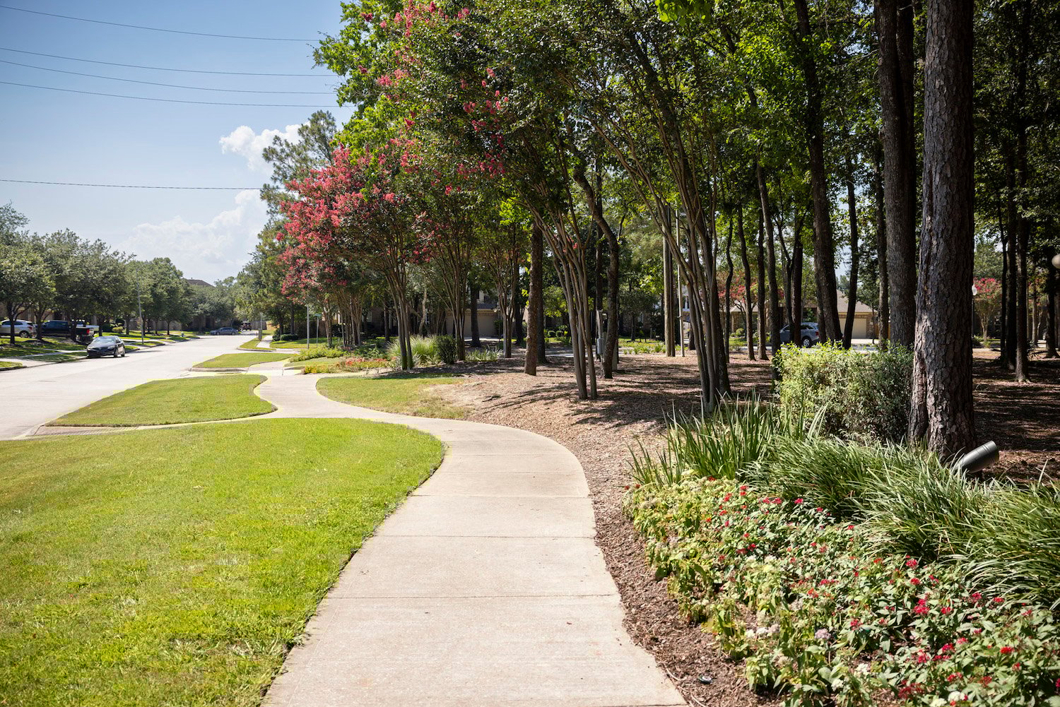 5 Best Flowering Trees for Houston Commercial Landscapes