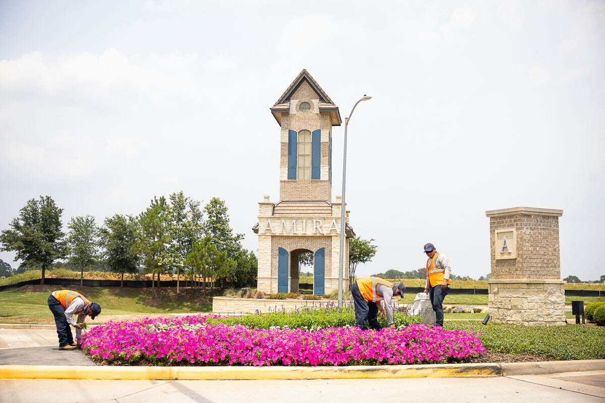 Landscaping Around Signage: 5 Tips for Communities & Businesses in Houston